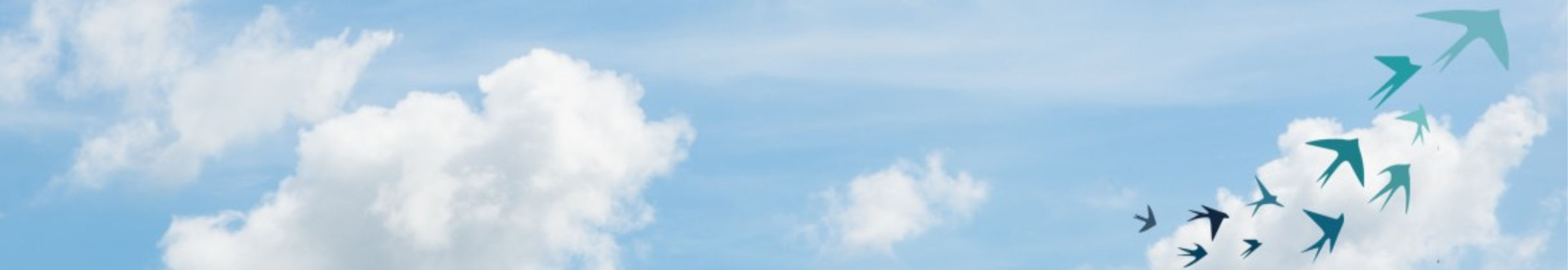 Nuevas oportunidades de empleo: Prevencionista de Riesgos en MatchFinders